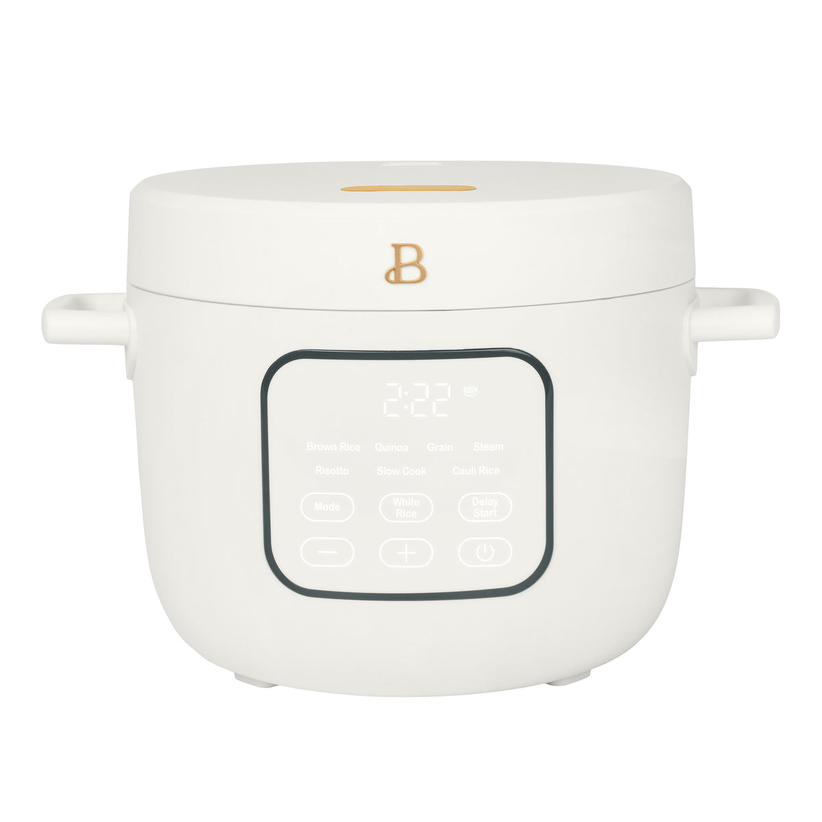 14-Cup Cooker, 6-Cups Uncooked Rice and Grain Cooker – Beautiful™