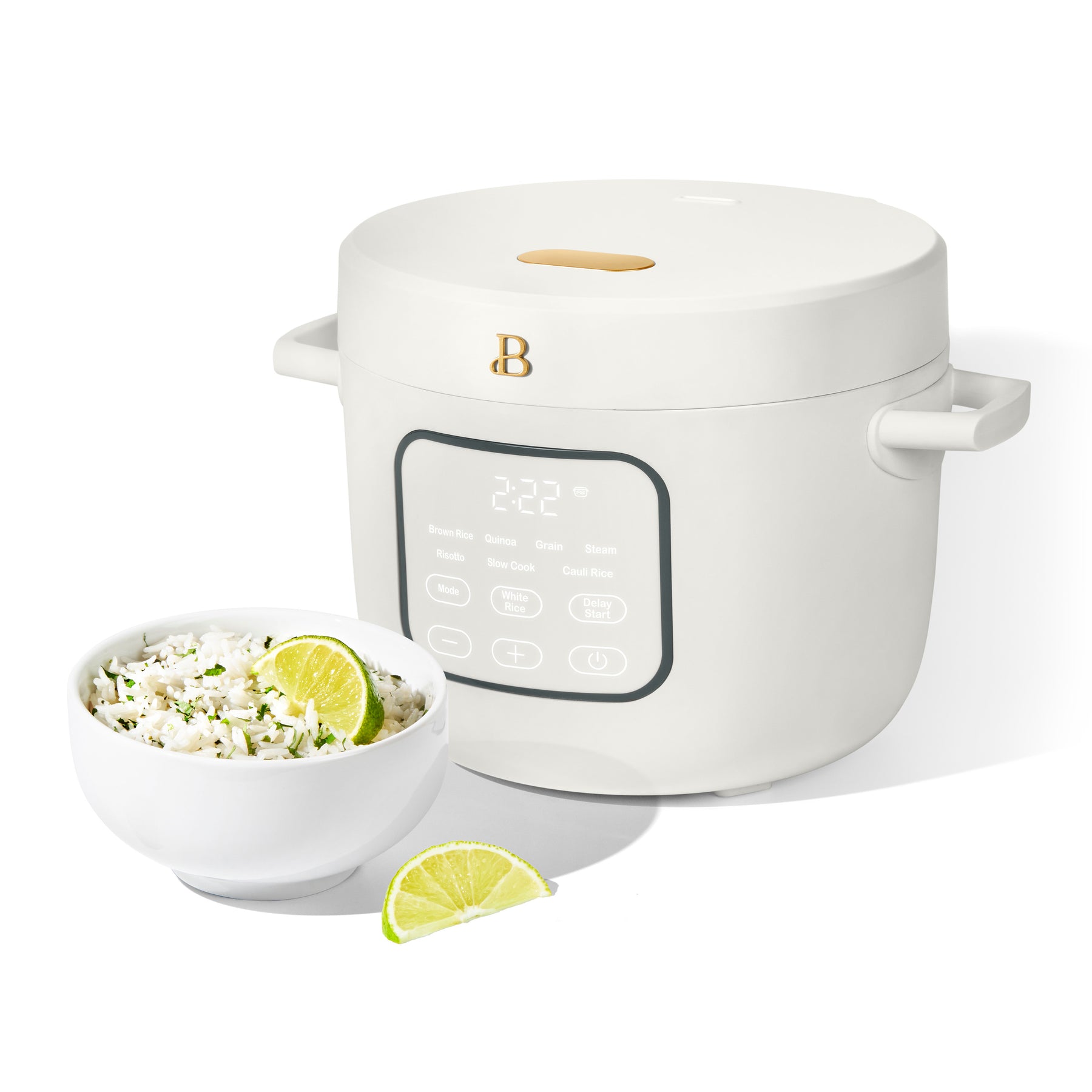 14-Cup Cooker, 6-Cups Uncooked Electric Rice and Grain Cooker – Beautiful™