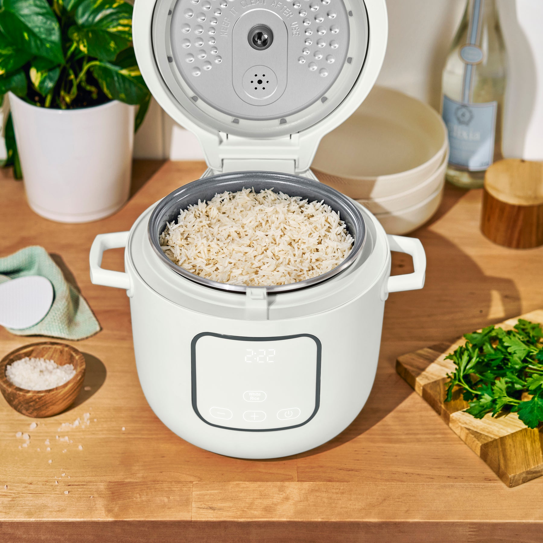 14-Cup Cooker, 6-Cups Uncooked Electric Rice and Grain Cooker – Beautiful™