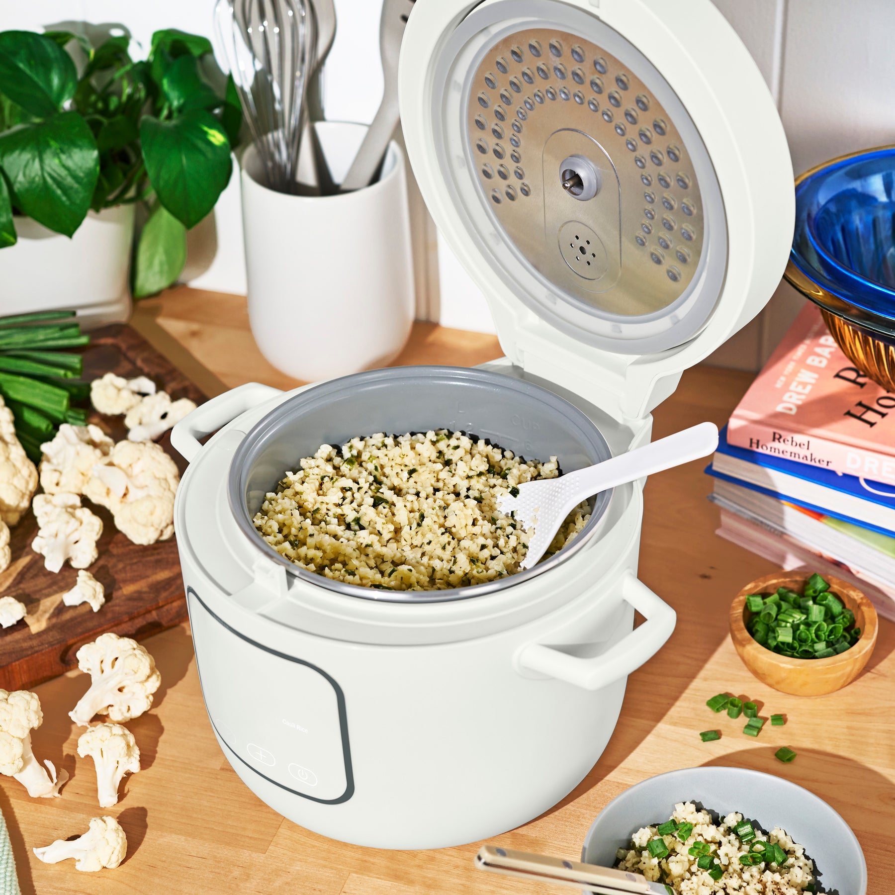 14-Cup Cooker, 6-Cups Uncooked Electric Rice and Grain Cooker – Beautiful™