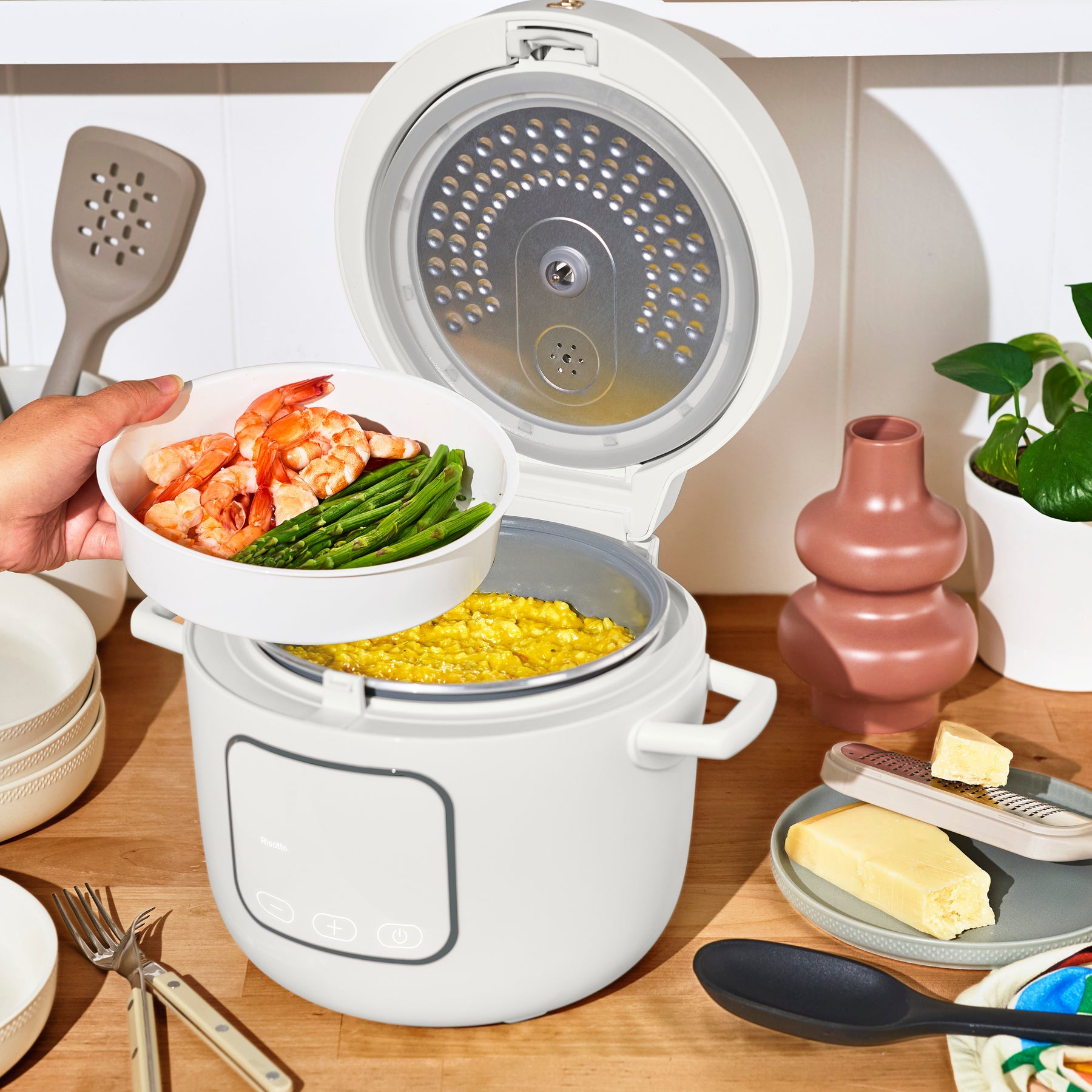 14-Cup Cooker, 6-Cups Uncooked Electric Rice and Grain Cooker – Beautiful™