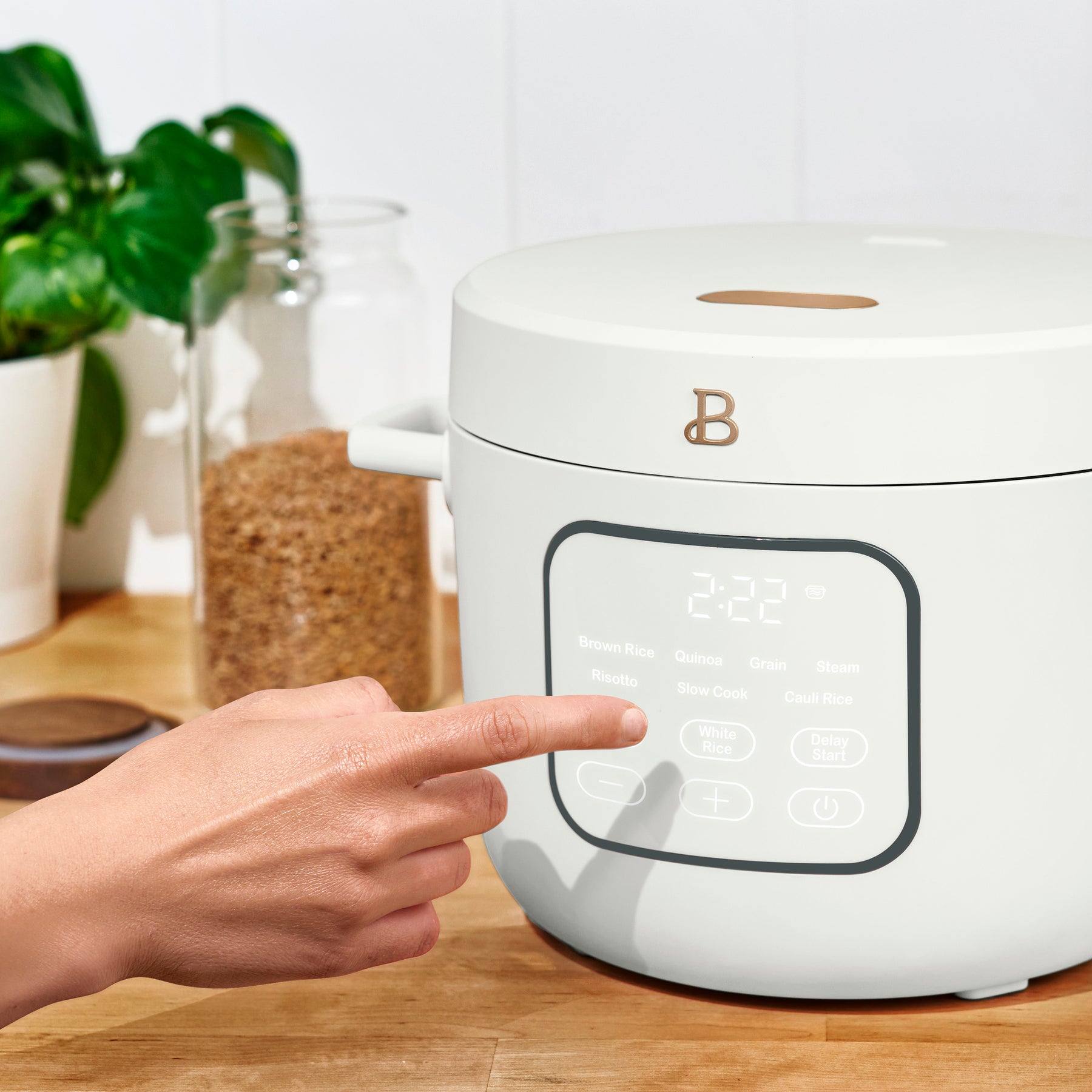 14-Cup Cooker, 6-Cups Uncooked Electric Rice and Grain Cooker – Beautiful™